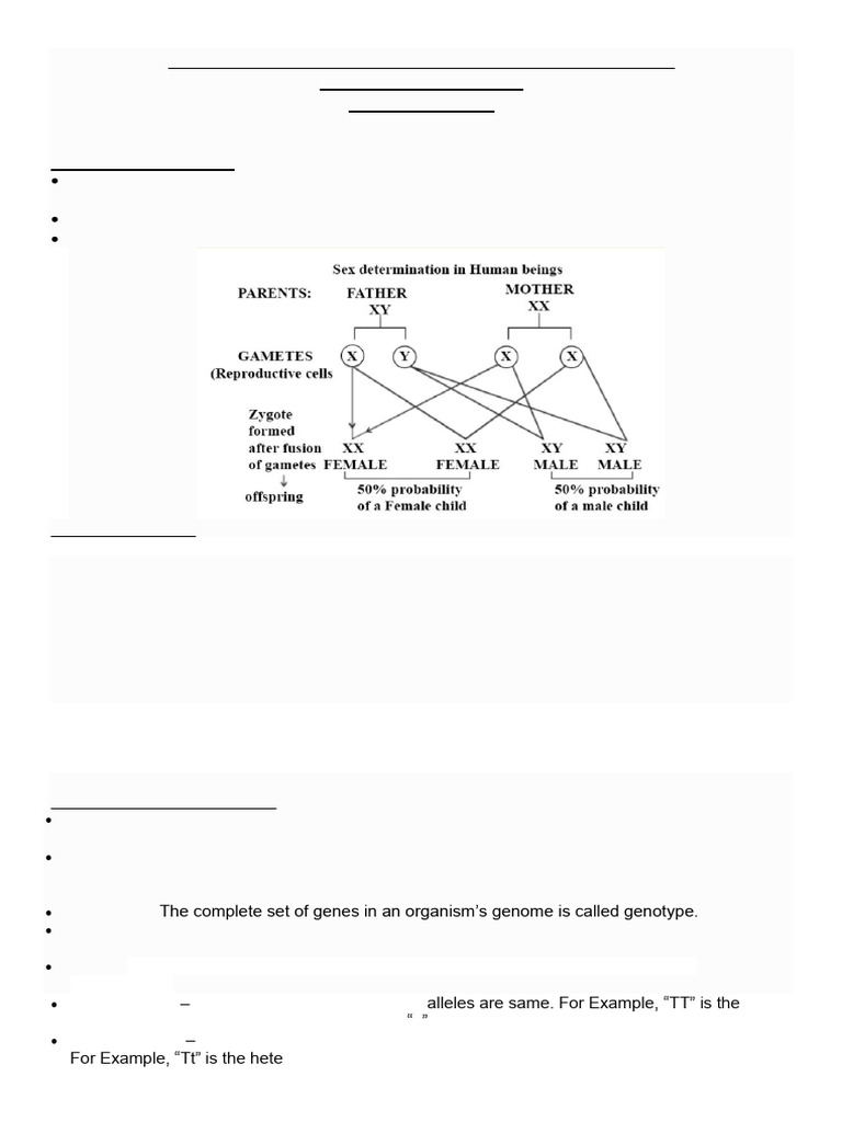 CH - Heredity NTBK Work With QA | PDF | Zygosity | Genetics