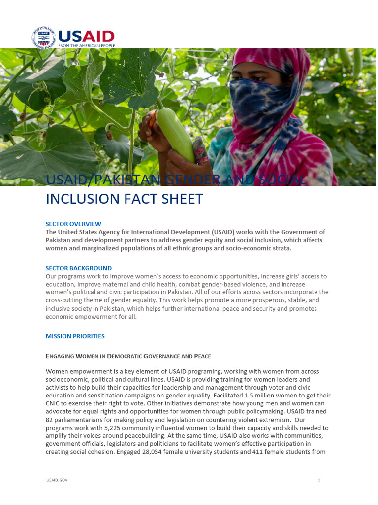 2023 USAID - Gender and Social Inclusion Fact Sheet | PDF ...
