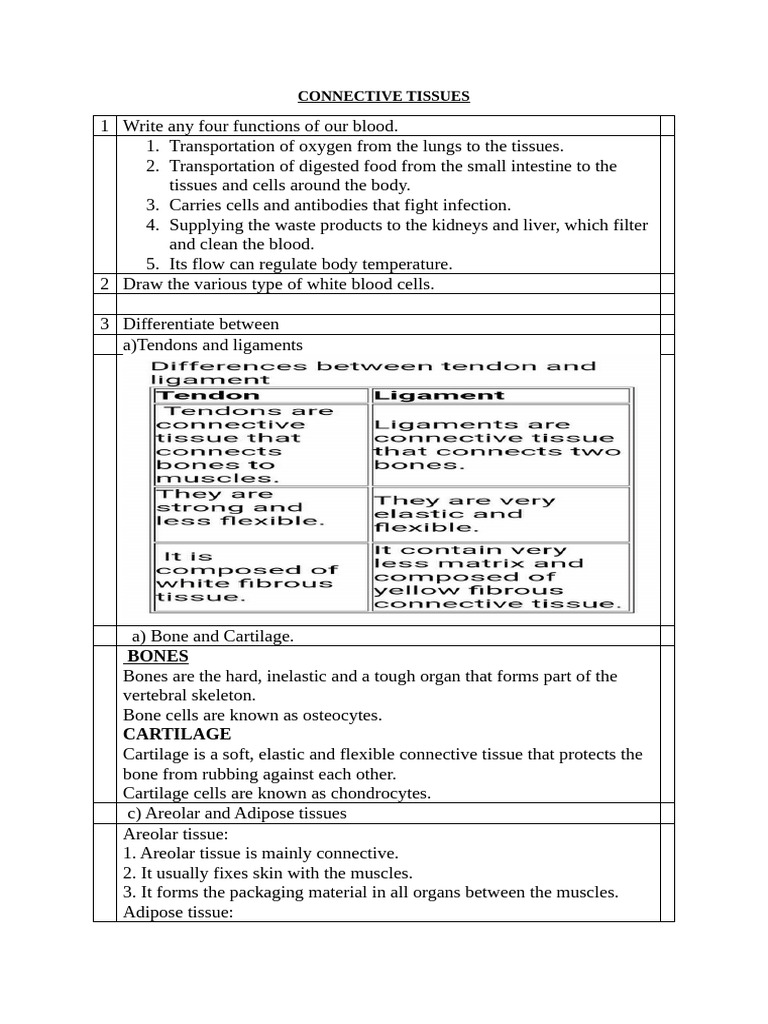 Functions and Types of Connective Tissues | PDF