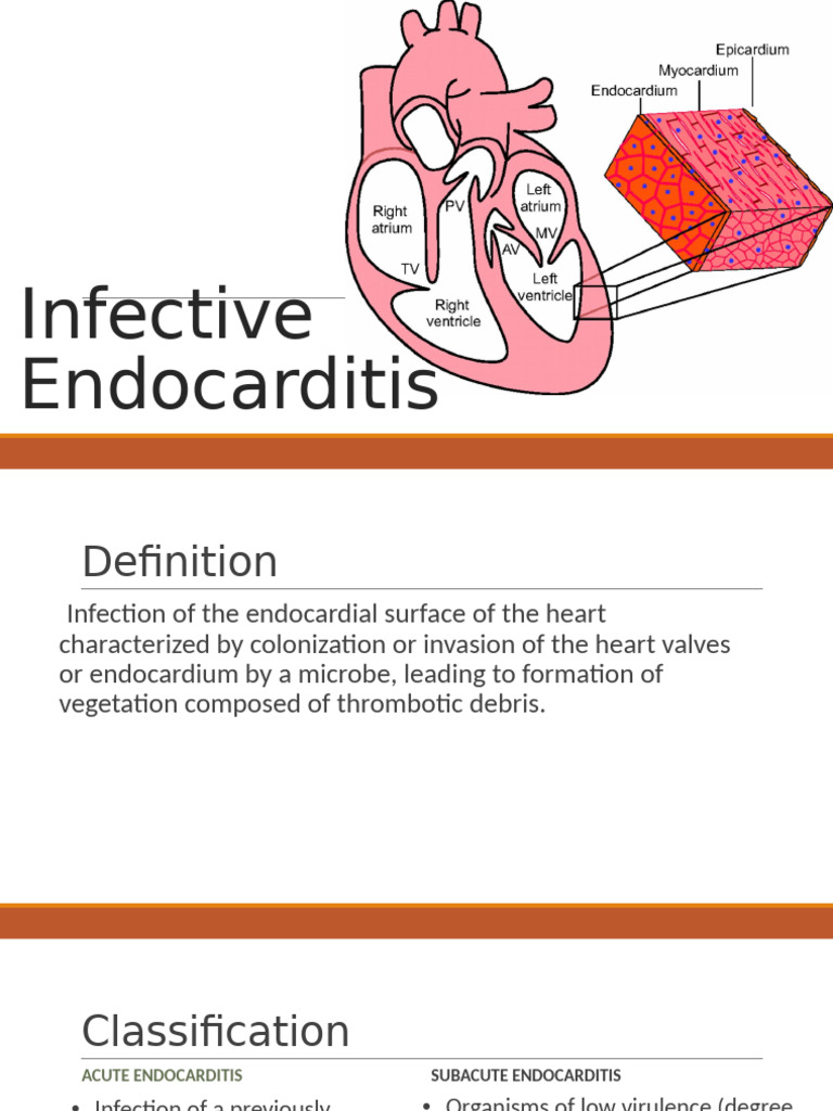 8.infective Endocarditis | PDF | Heart | Clinical Medicine
