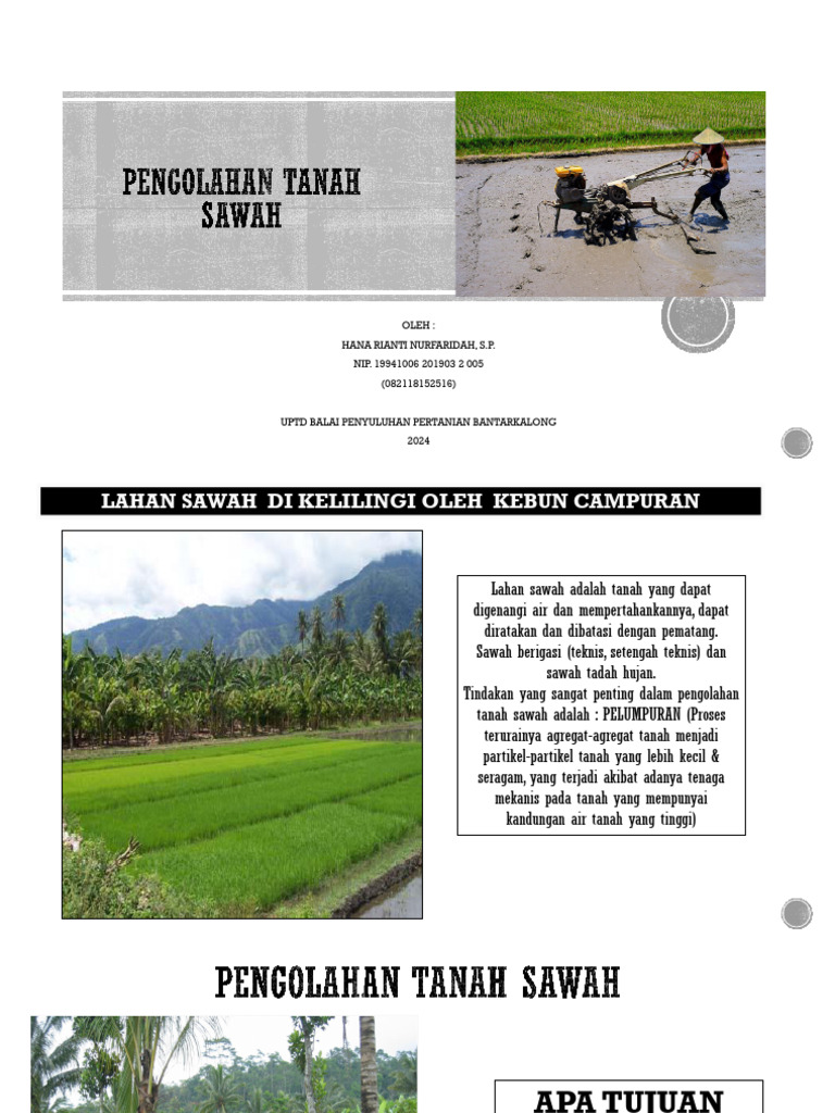 Pengolahan Tanah Sawah untuk Padi | PDF