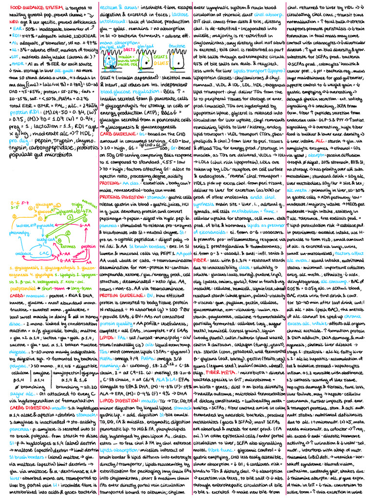 Nutr Cheatsheet | PDF