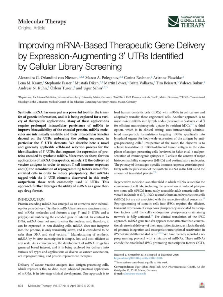 Improving mRNA-Based Therapeutic Gene Delivery by Expression-Augmenting 3 UTRs Identified by ...