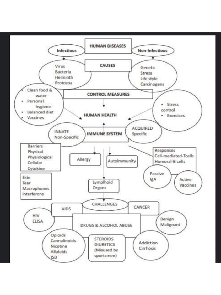 Human Health and Disease Class 12th | PDF
