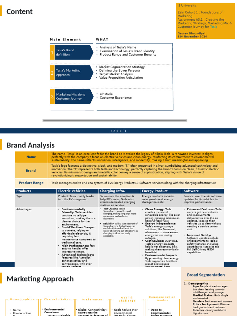 Marketing Strategy - Assignment - 3.1 - Gaurav | PDF | Marketing | Sustainable Energy