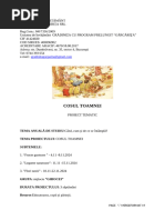 Fructe Si Legume de Toamna - Cosul Toamnei Model de Proiect Tematic | PDF