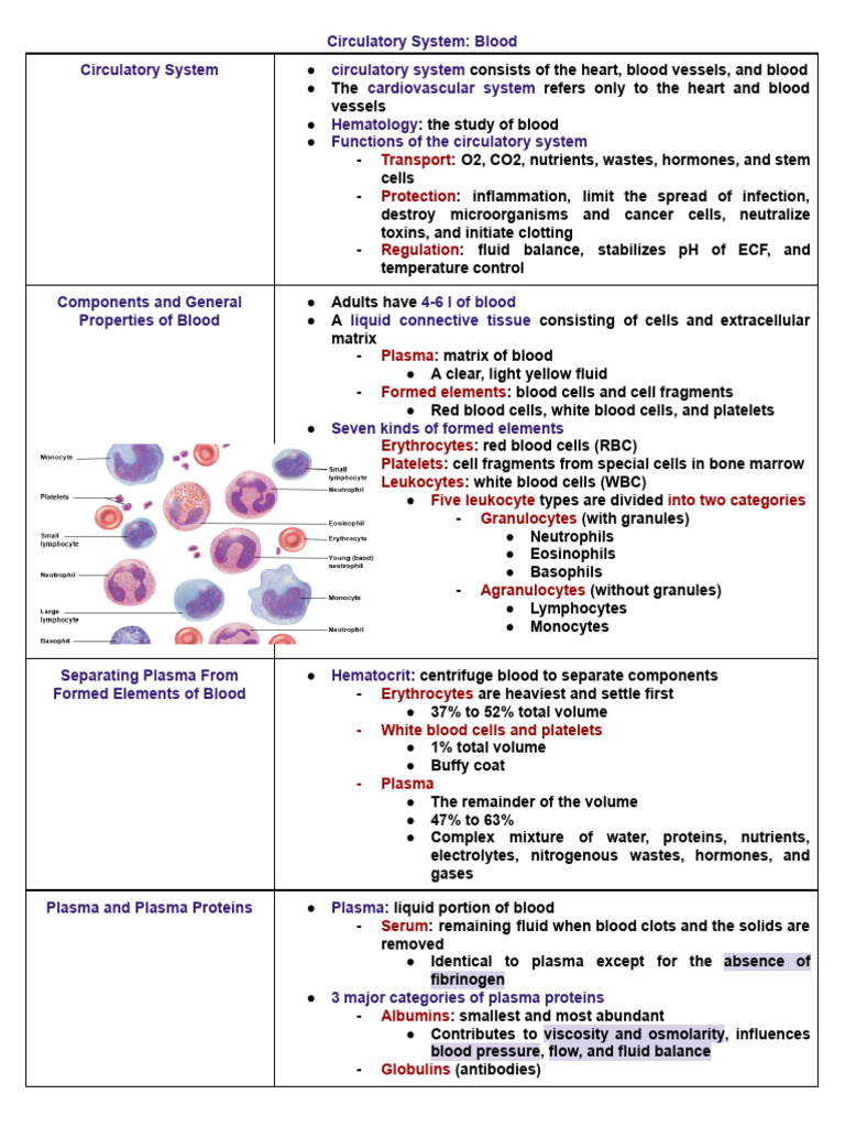 Genphy Lec Quiz Circu System | PDF | Blood Type | White Blood Cell