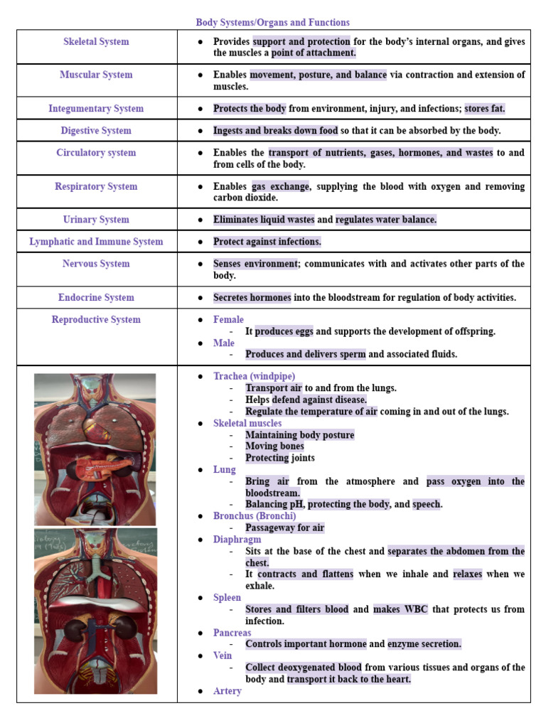 Genphy Lab Final Exam PDF | PDF | Blood Type | Human Body