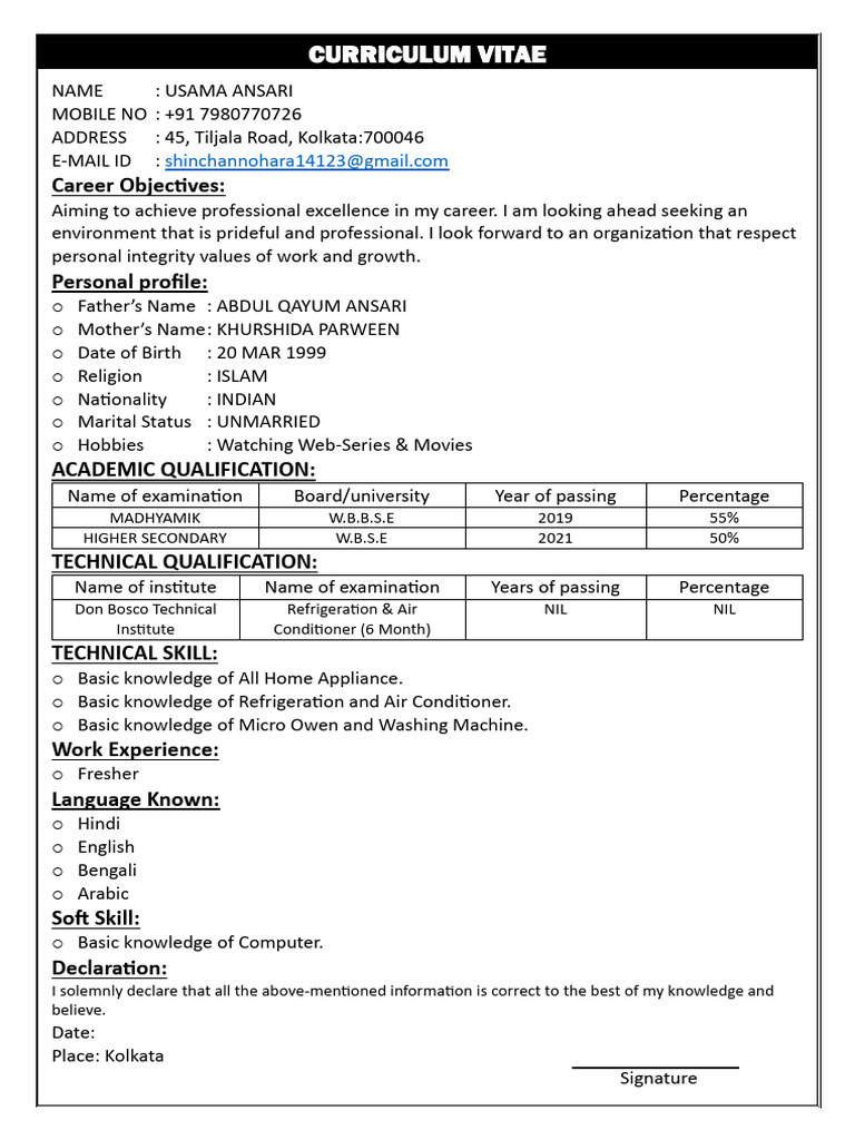 4) Usama Ansari CV | PDF