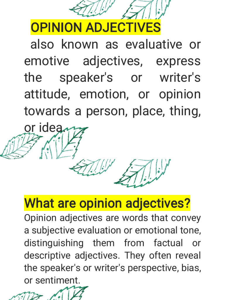 Opinion Adjectives Report | PDF