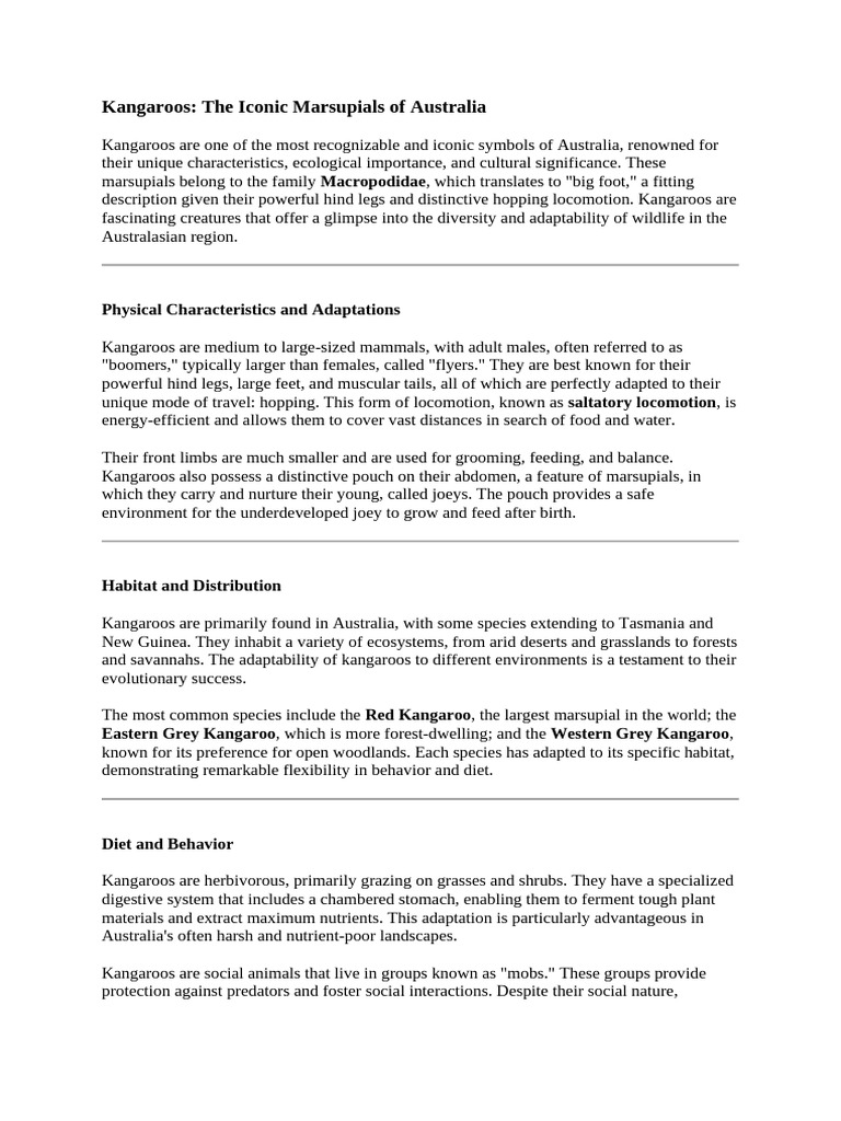 Kangaroos | PDF | Marsupials | Grazing