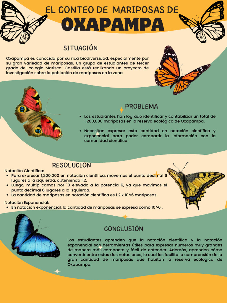 Yellow And Green Colorful Facts About Butterflies Infographic | PDF
