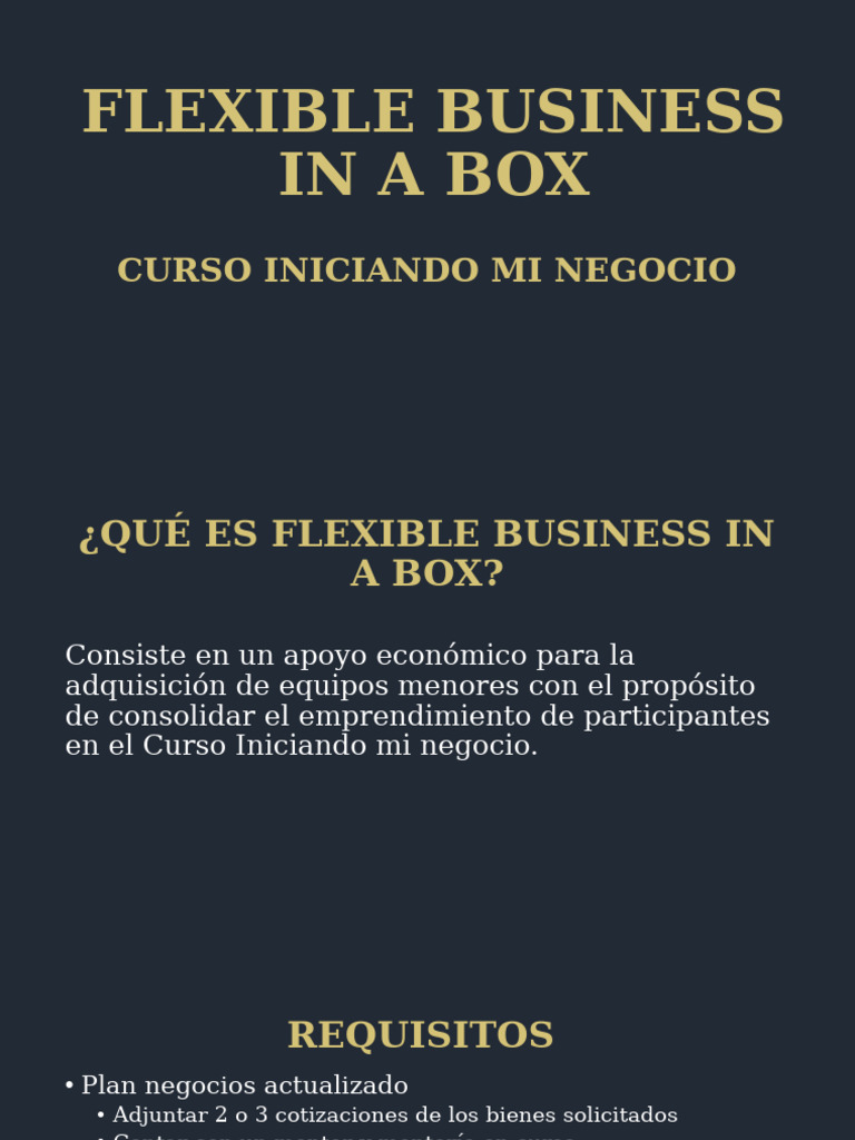 Flexible Business in A Box en Iniciando Mi Negocio - Oct2024 | PDF
