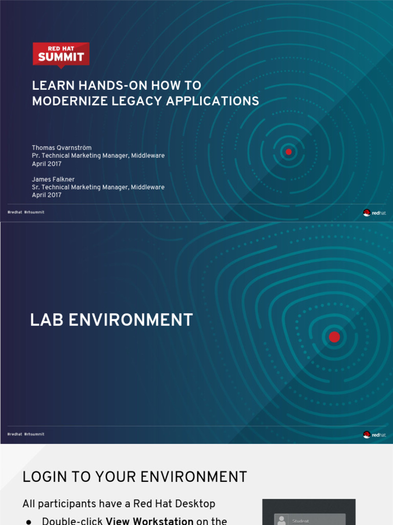 lab-instructions | PDF | Command Line Interface | Postgre Sql