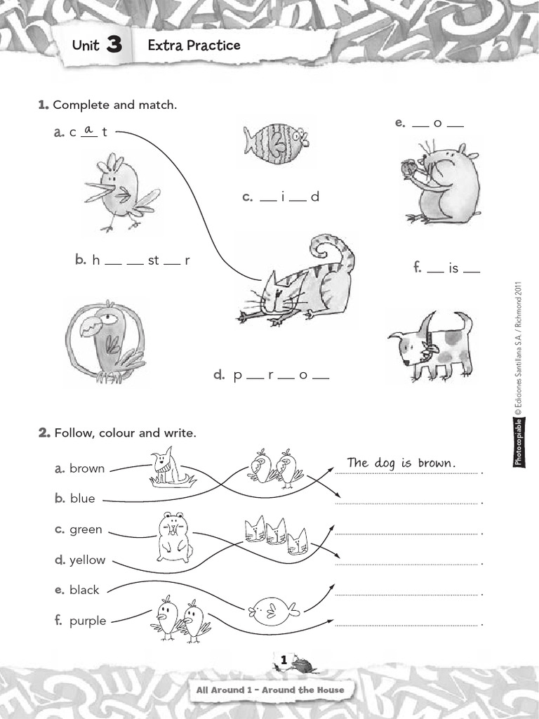 U3 Extra Practice Pdf Parrot Birds