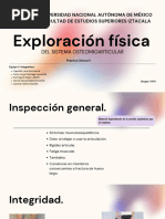 Signo del Témpano y Fabela en Rodilla | PDF | Rodilla | Pie