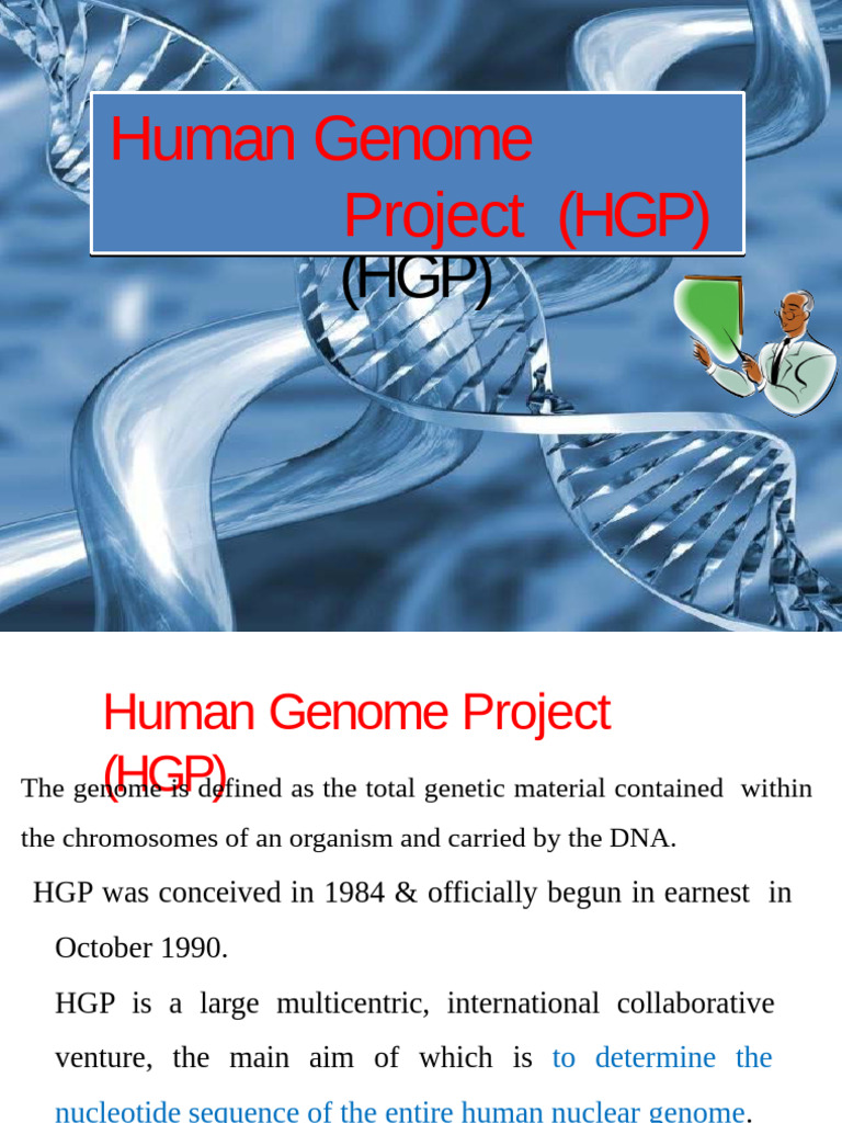 Overview of the Human Genome Project | PDF | Human Genome | Genome