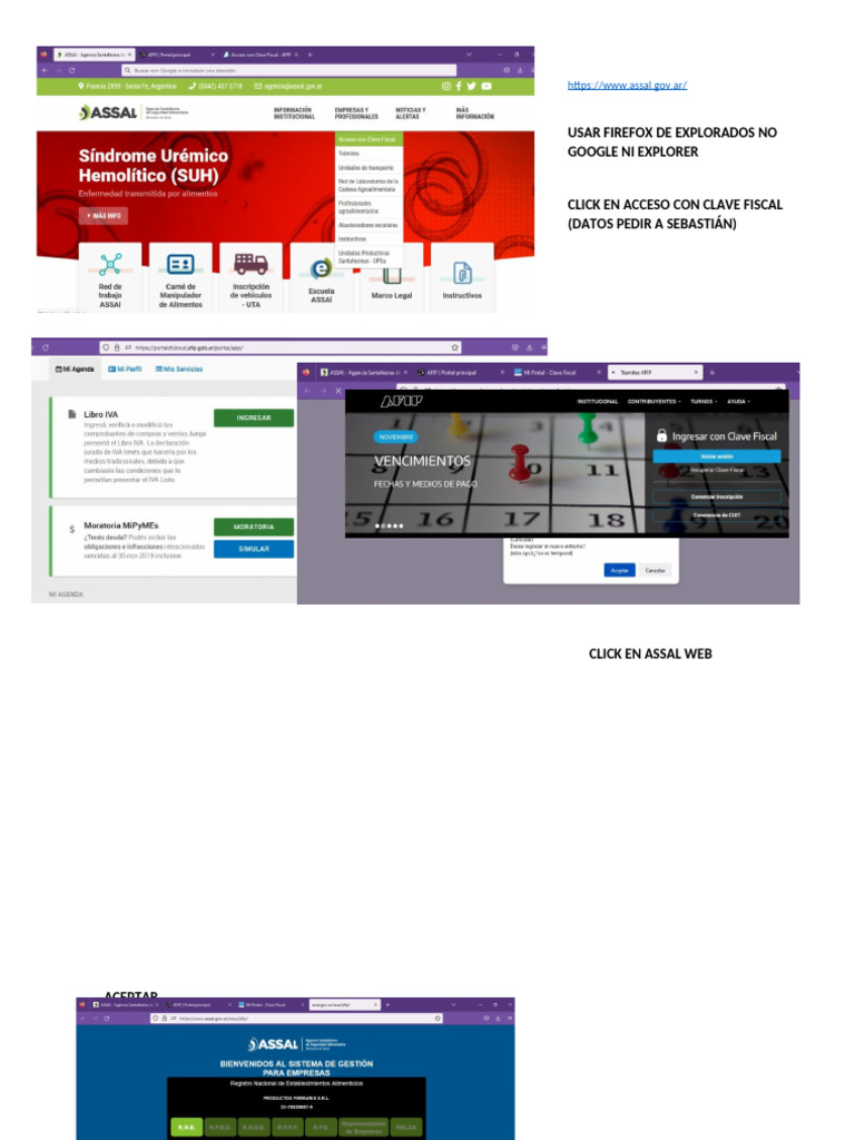 Instructivo Descargas Assal | PDF