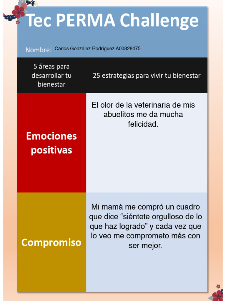 PERMA Challenge | PDF