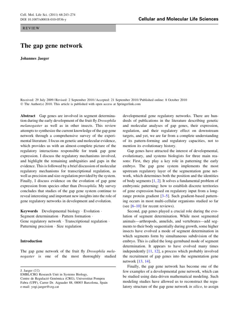 The gap gene network | PDF | Gene Expression | Gene