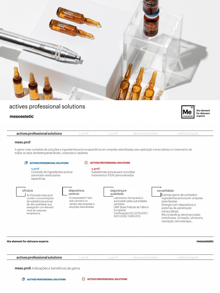 Portfólio Global Meso - Prof | PDF