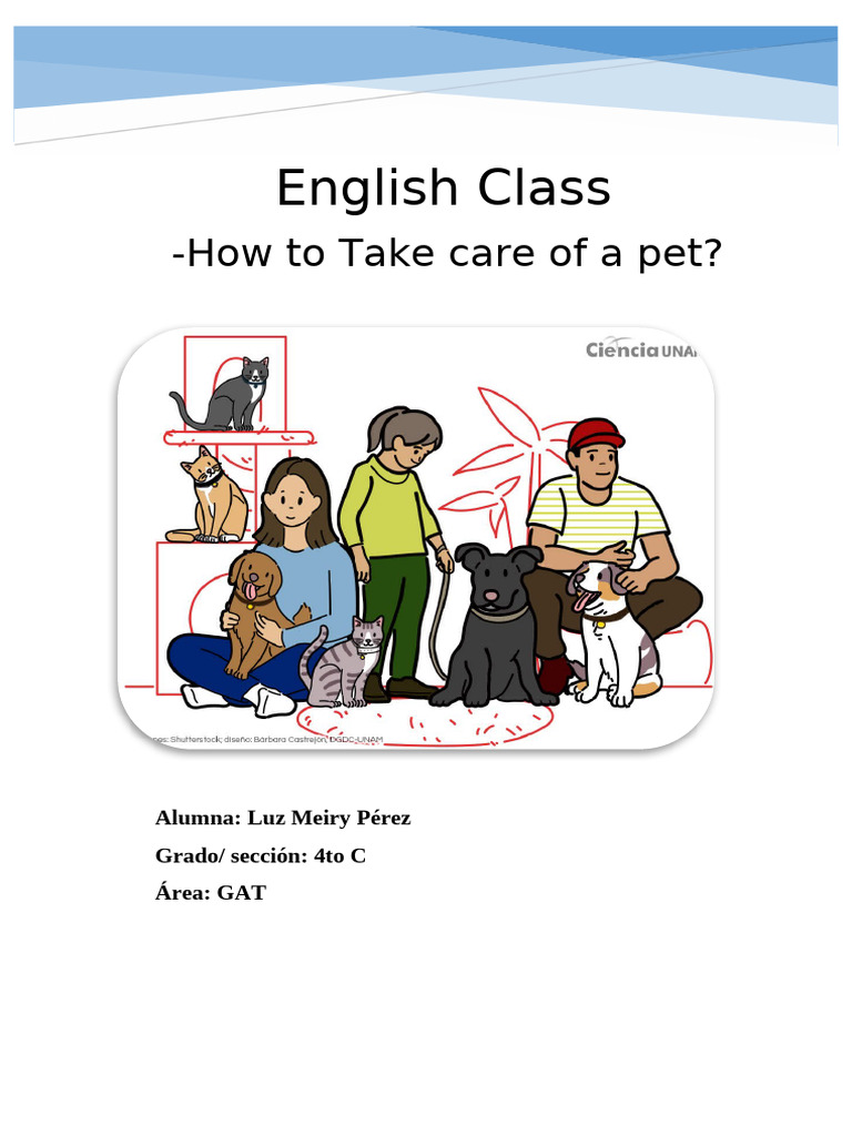 English. How to Take Care of a Pet | PDF