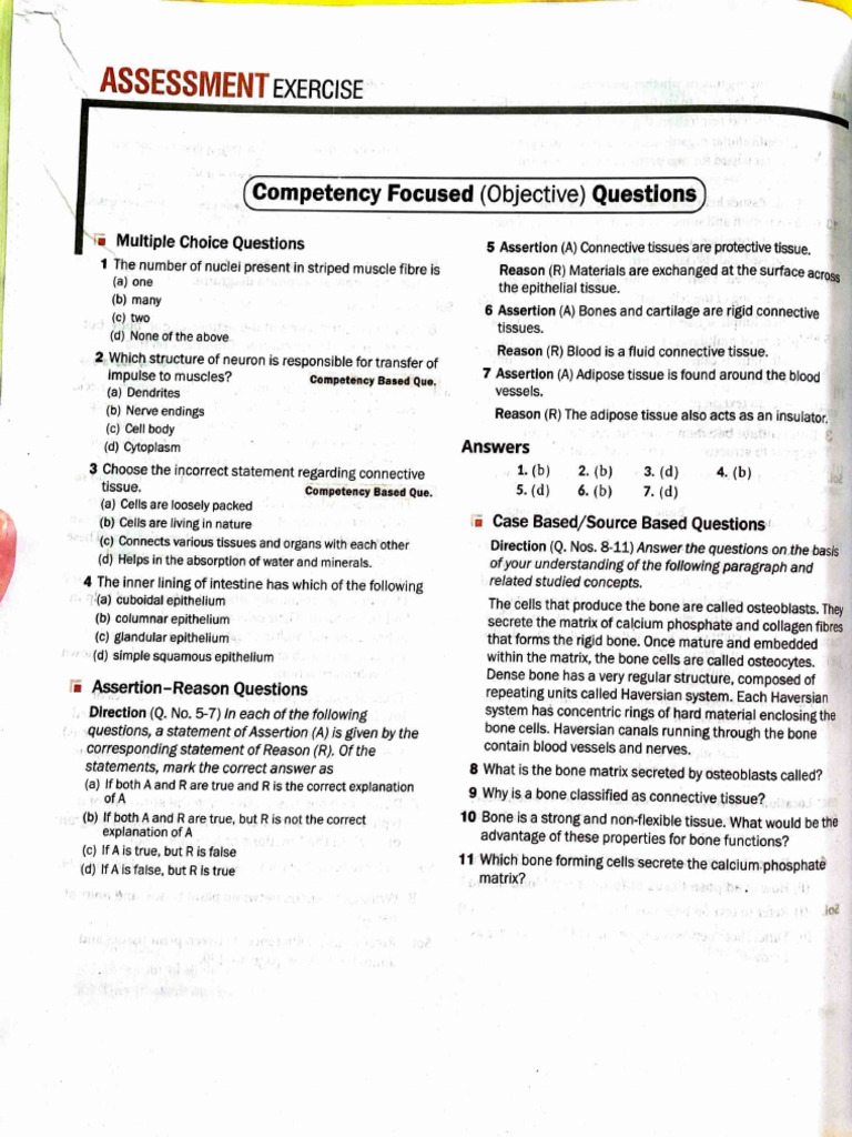 Diwali Vacation HHW Class 9 | PDF | Bone | Tissue (Biology)
