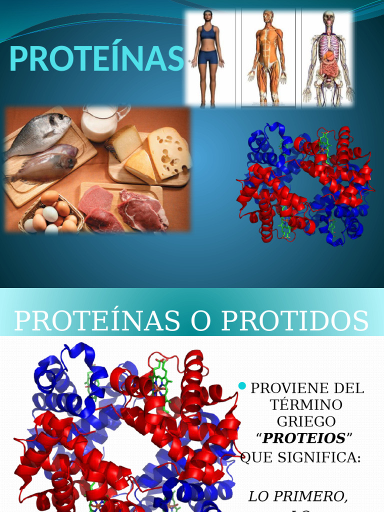 Proteínas o Prótidos | PDF | Proteínas | Aminoácidos