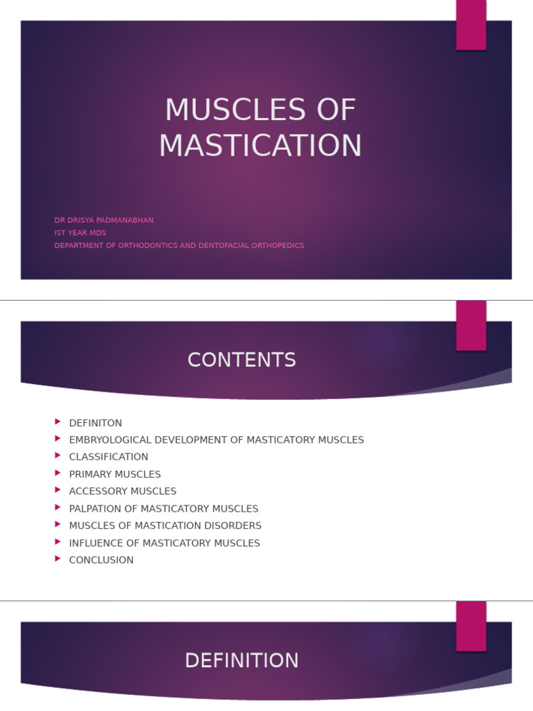 Overview of Mastication Muscles | PDF | Human Anatomy | Human Head And Neck