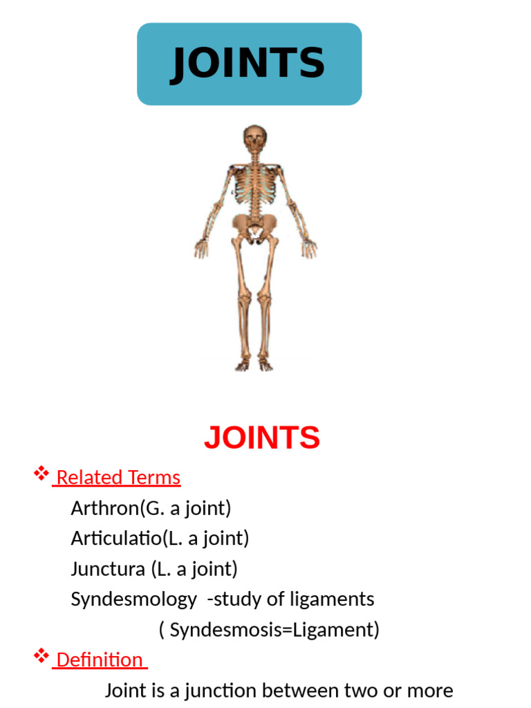 JOINT Final | PDF | Anatomical Terms Of Motion | Cartilage