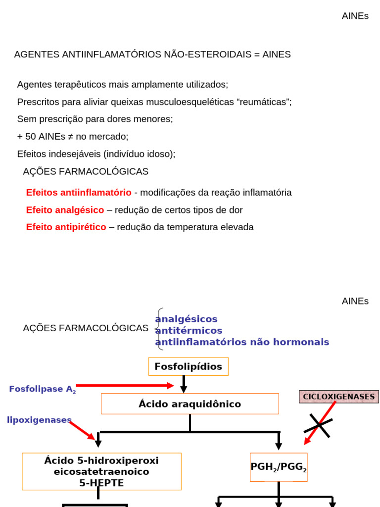 Agentes Anti-Inflamatórios Não-Esteróides (Farmacologia I) | PDF | Anti ...