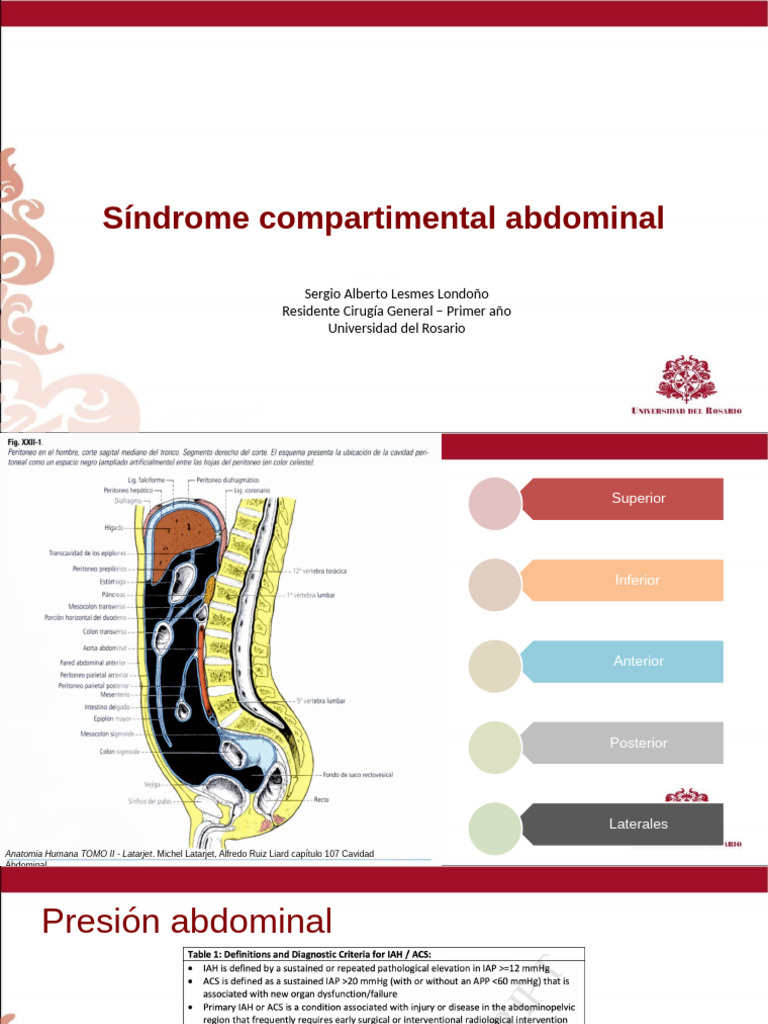 Síndrome Compartimental Abdominal | PDF | Abdomen | Syndrome