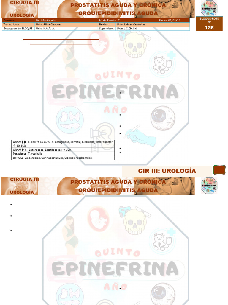Prostatitis Aguda y Crónica: Causas y Síntomas | PDF | Medicina CLINICA ...