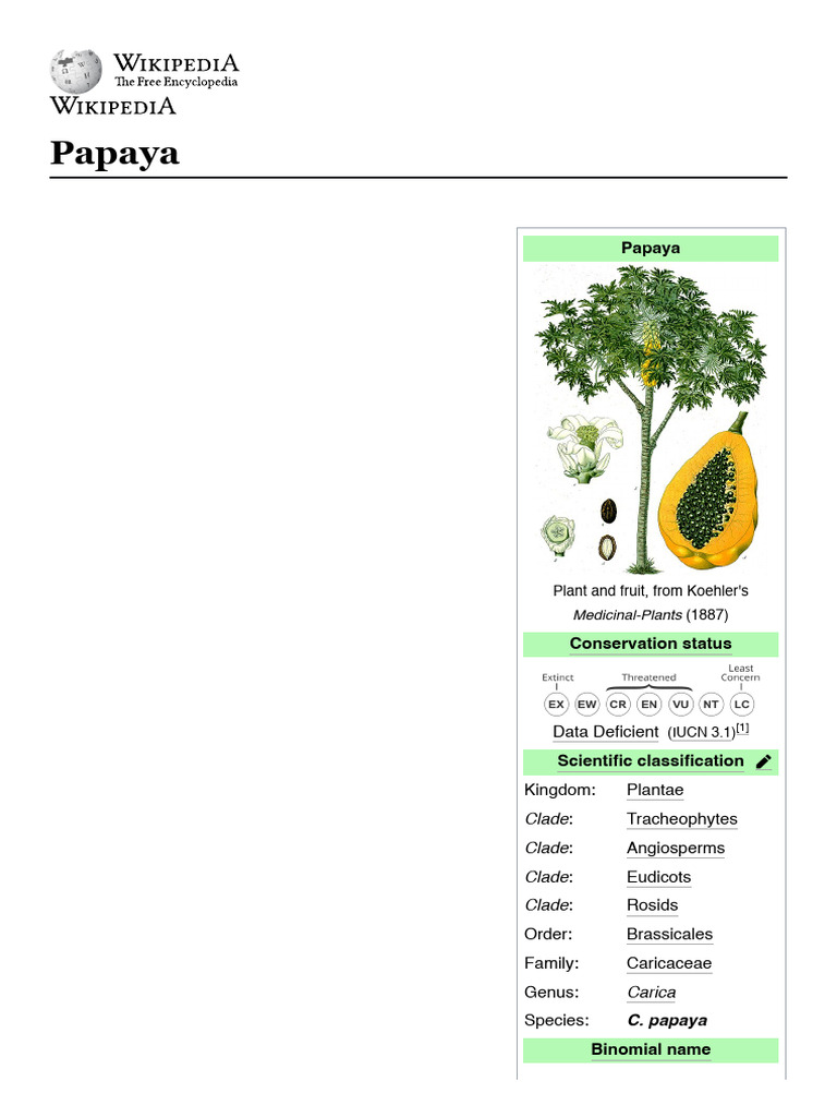 Papaya - Wikipedia | PDF