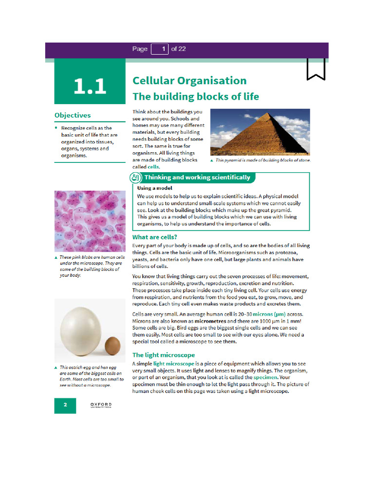 Chapter 1 Complete From Book | PDF