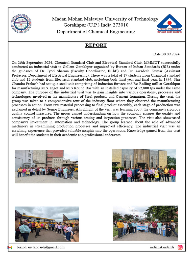 bis report | PDF