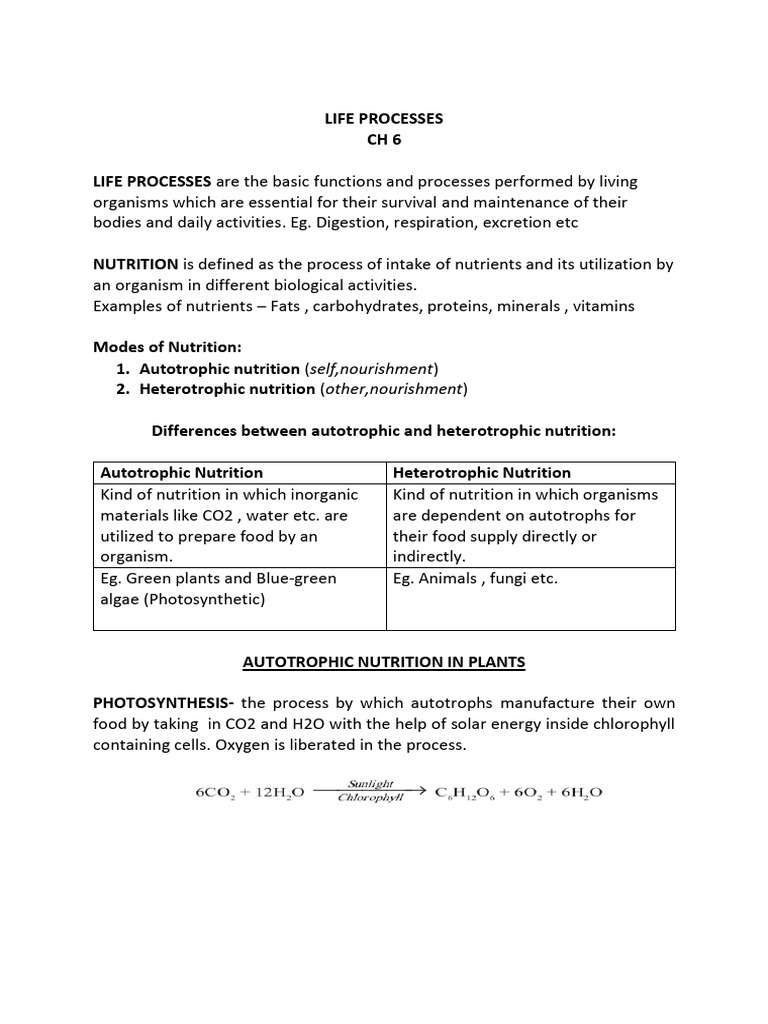 Ch - Life Process | PDF | Digestion | Stomach