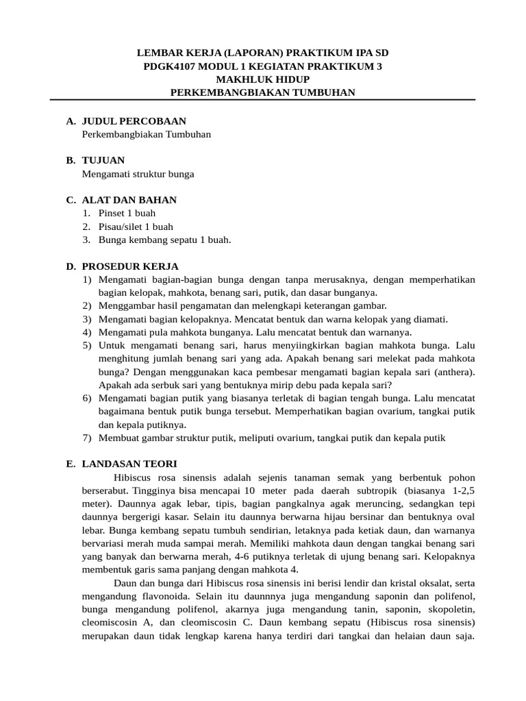 Praktikum Ipa Di SD Pengamatan Bunga Sepatu | PDF