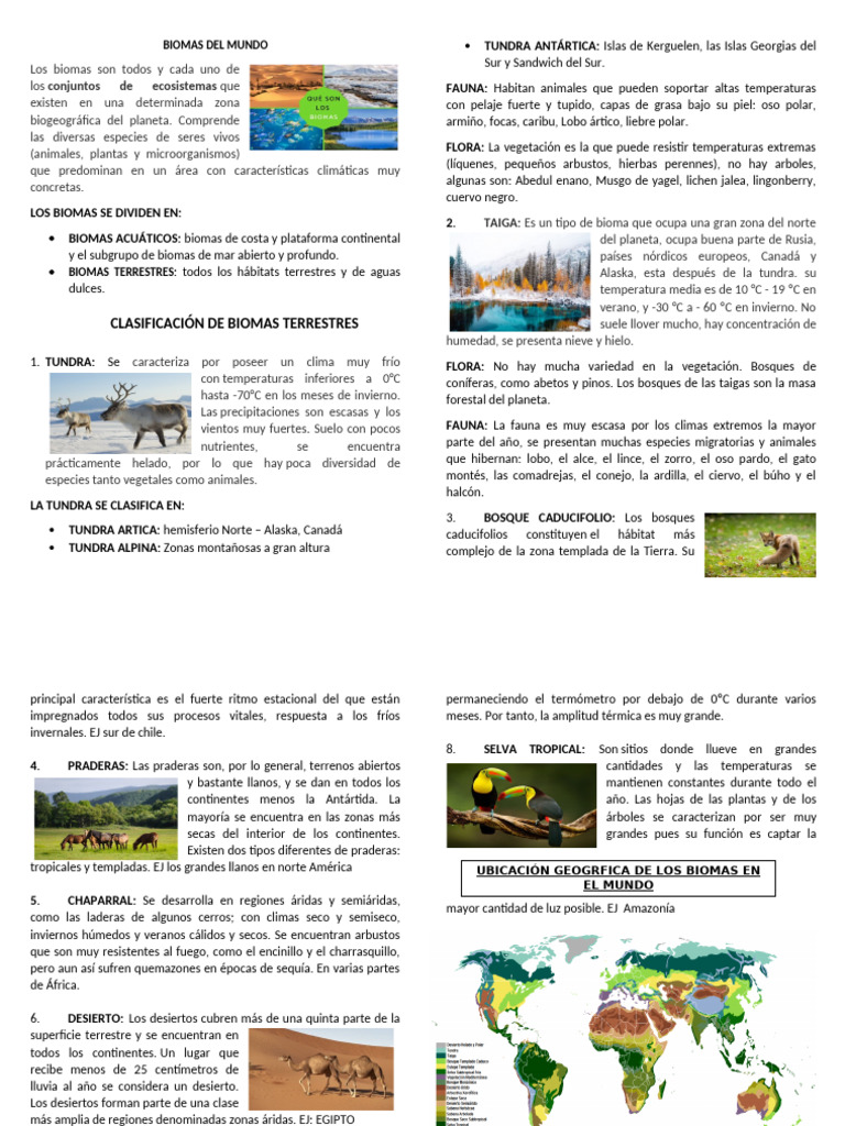 Clasificación de Biomas del Mundo | PDF | Ciencias de la Tierra ...