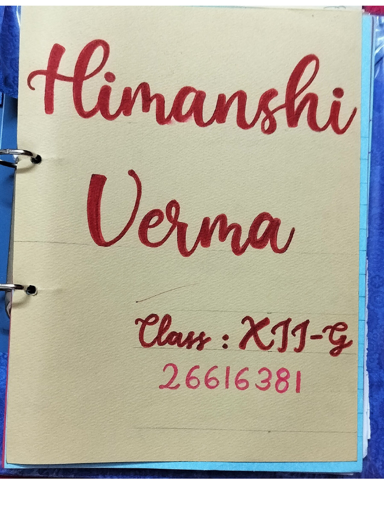 Accountancy Project File | PDF