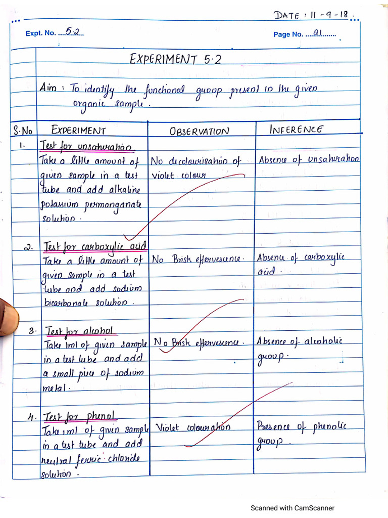 Ex 15 Functional Group Detection Phenol Pdf 9619