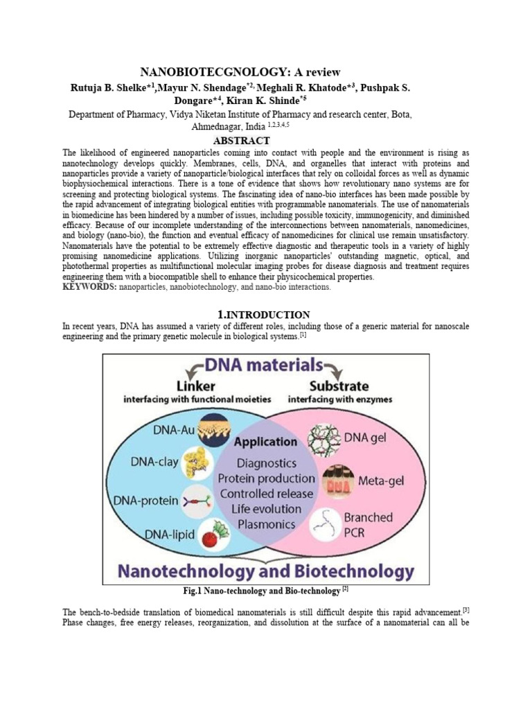 Nanobiotechnology Paper | PDF | Nanotechnology | Nanomaterials