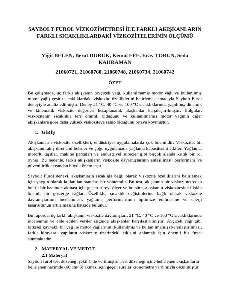 SAYBOLT Ana Rapor | PDF