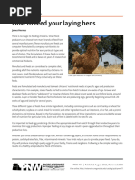 (PDF) Layers Feeding Guide, Growth & Weight Chart - Livestocking | PDF ...