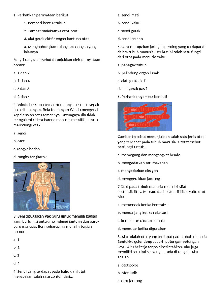 Soal Lat Ipas Rangka Sendi Otot | PDF
