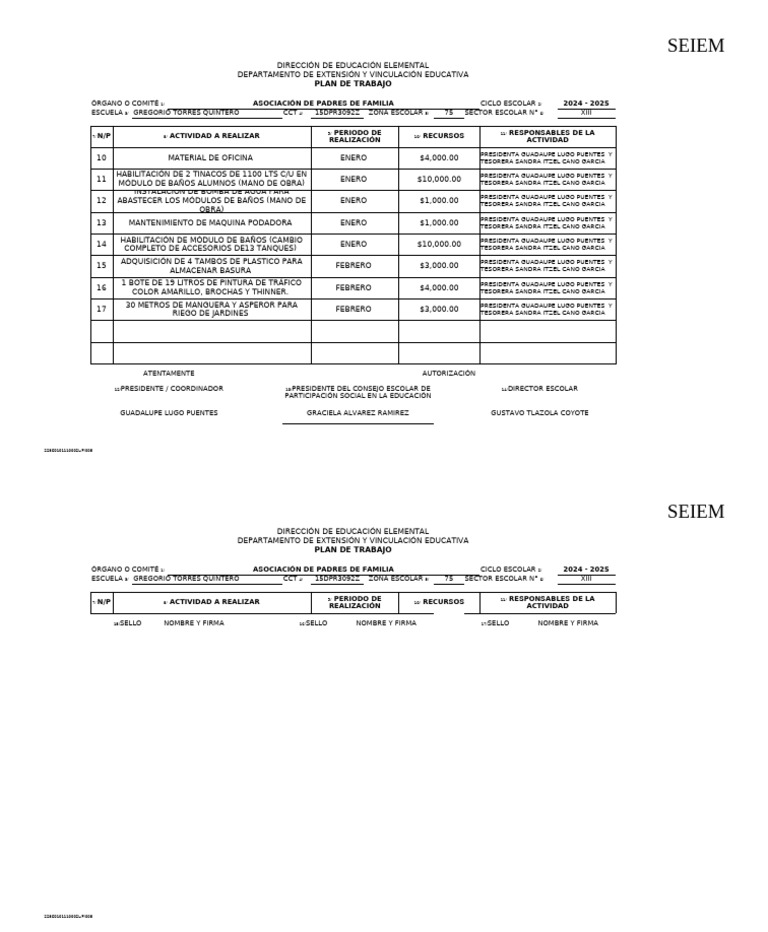 Plan de Trabajo de Apf 228c0101110002lf005 Apf | PDF