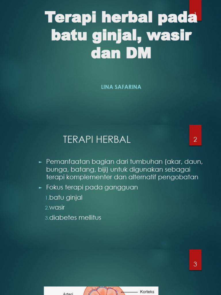 Terapi Herbal untuk Batu Ginjal, Wasir, dan DM | PDF