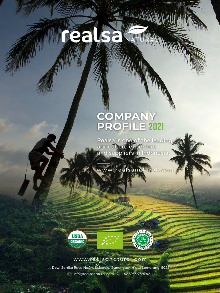 Realsa Company Profile English | PDF | Sugar | Diet & Nutrition