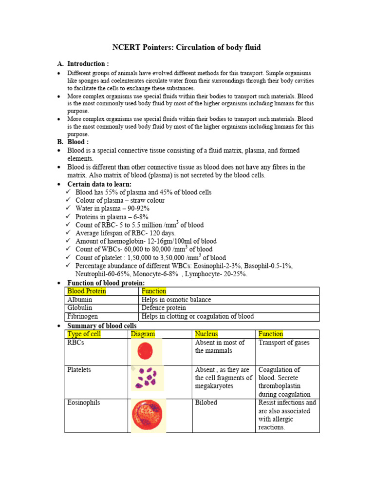 NCERT Pointers - Circulation | PDF | Diastole | Ventricle (Heart)