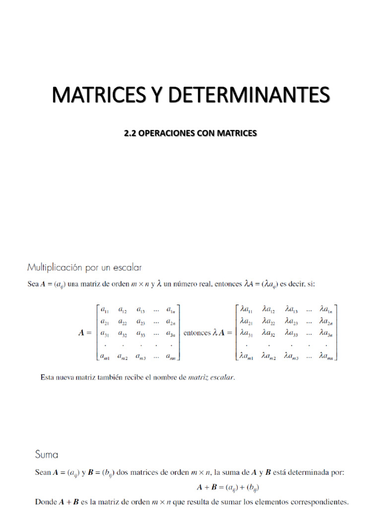Teoria 2.2 Operaciones Con Matrices | PDF
